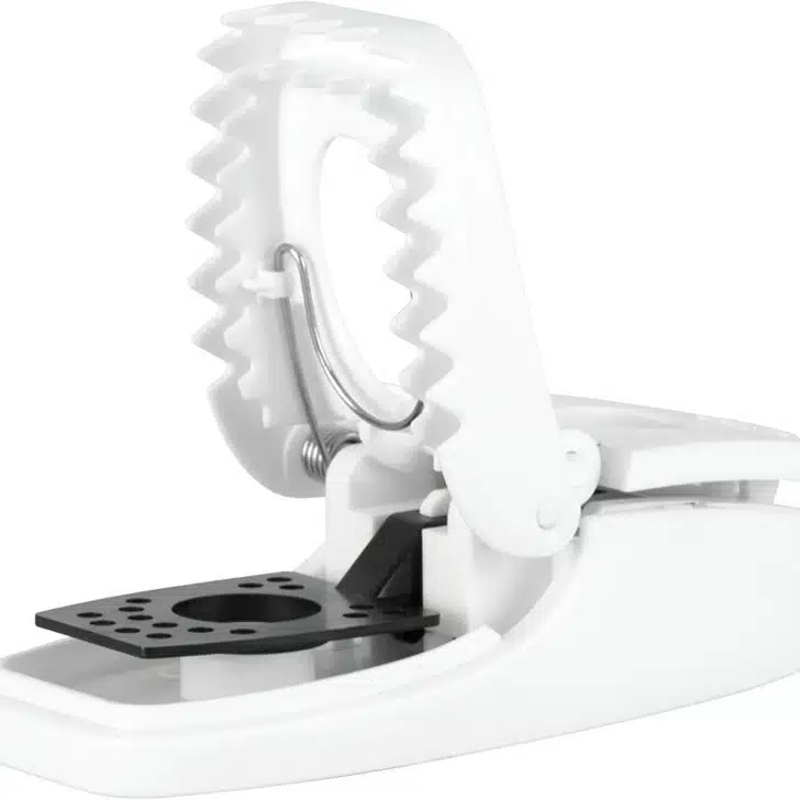 How to Keep Invasive Mice Out of Your RV, For Good! - TheRVgeeks.com