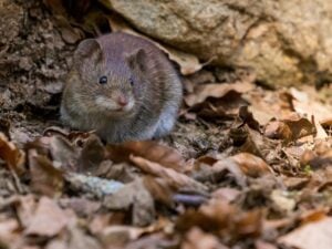 5 Best RV Covers to Protect Your RV From The Elements