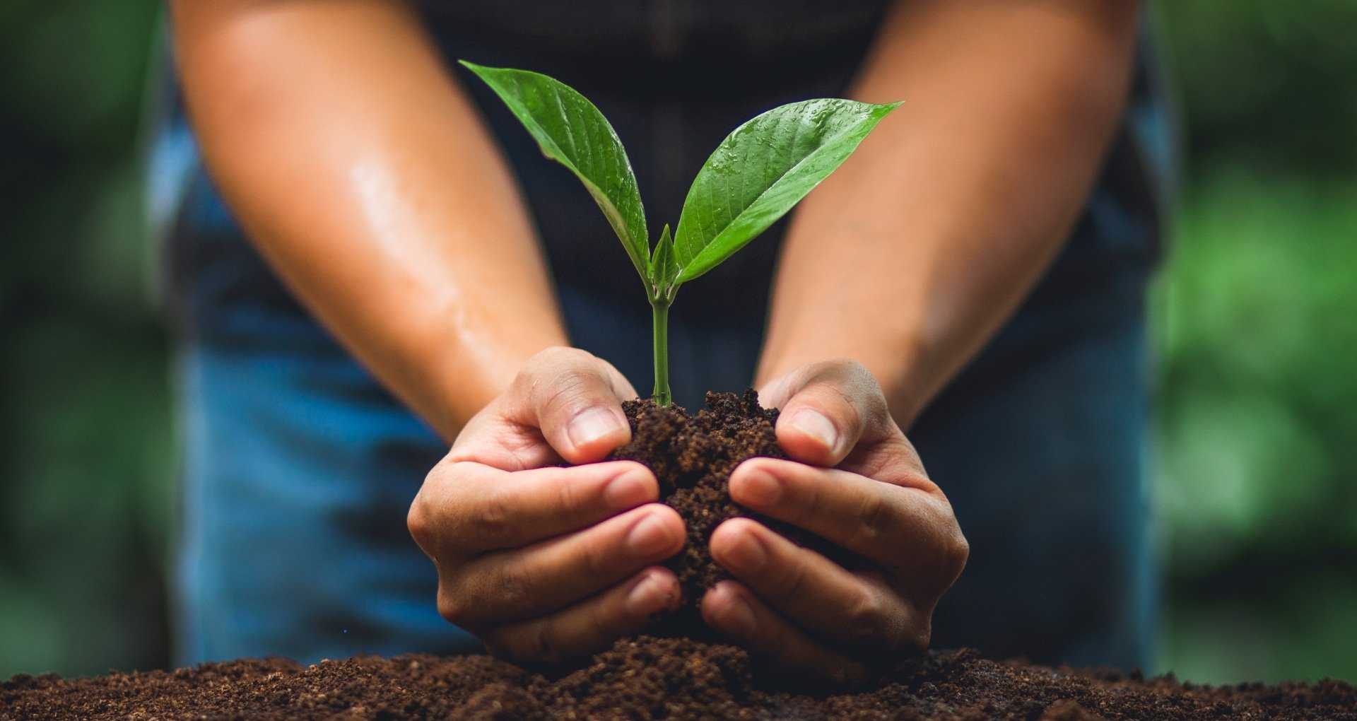 Story of KOA: What It Stands For & What It Means to Campers